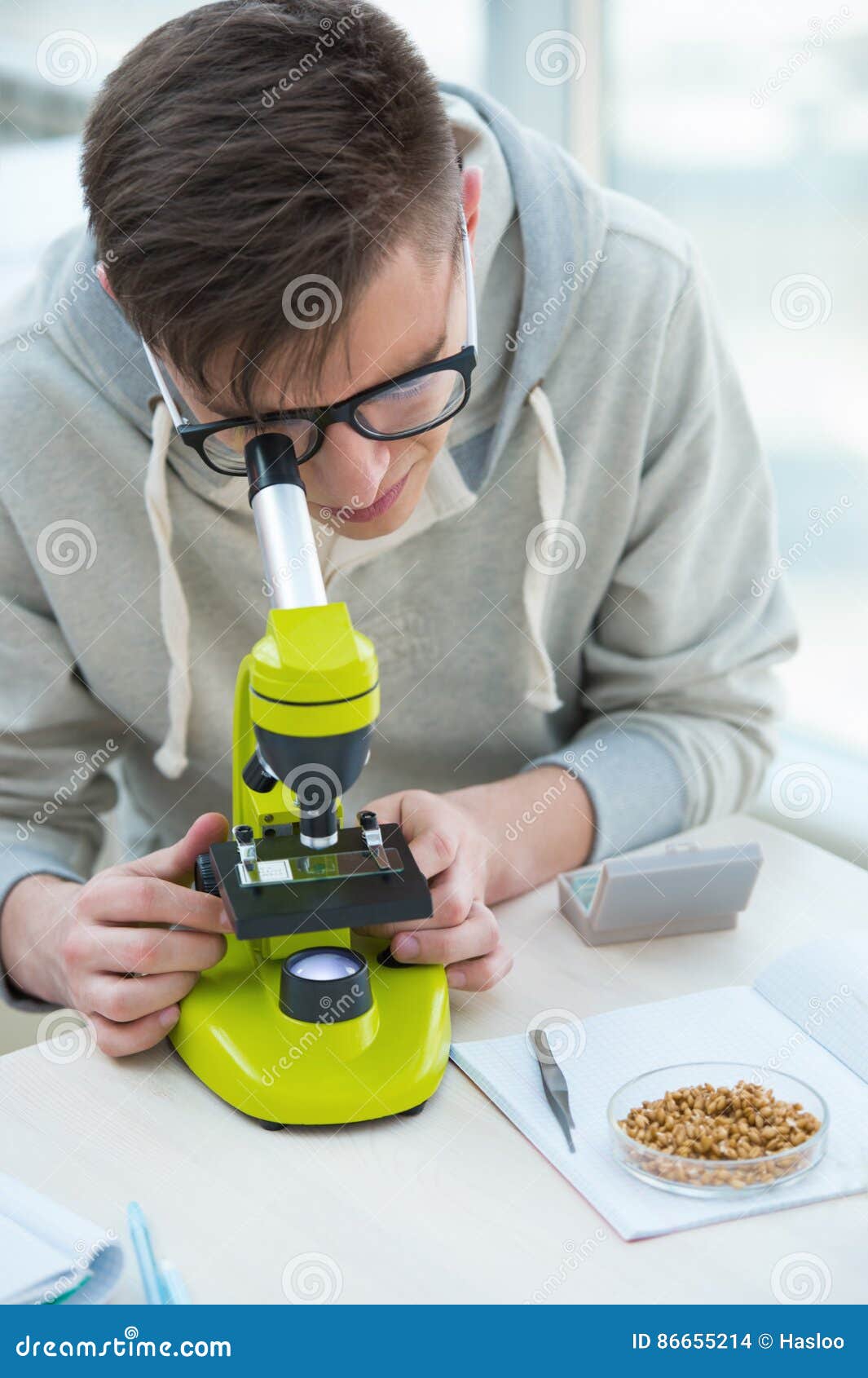 Male Student Working at Biology Classroom Stock Photo - Image of ...