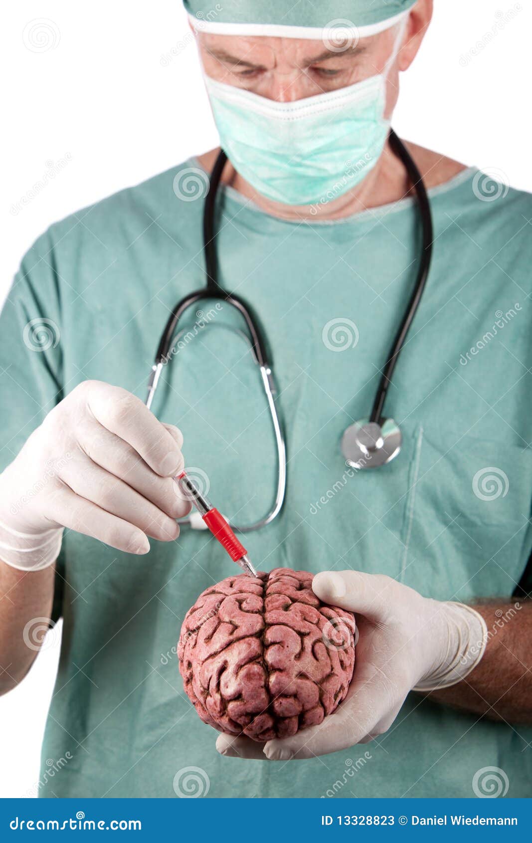 Male Surgeon Holding Brain stock image. Image of brain - 13328823