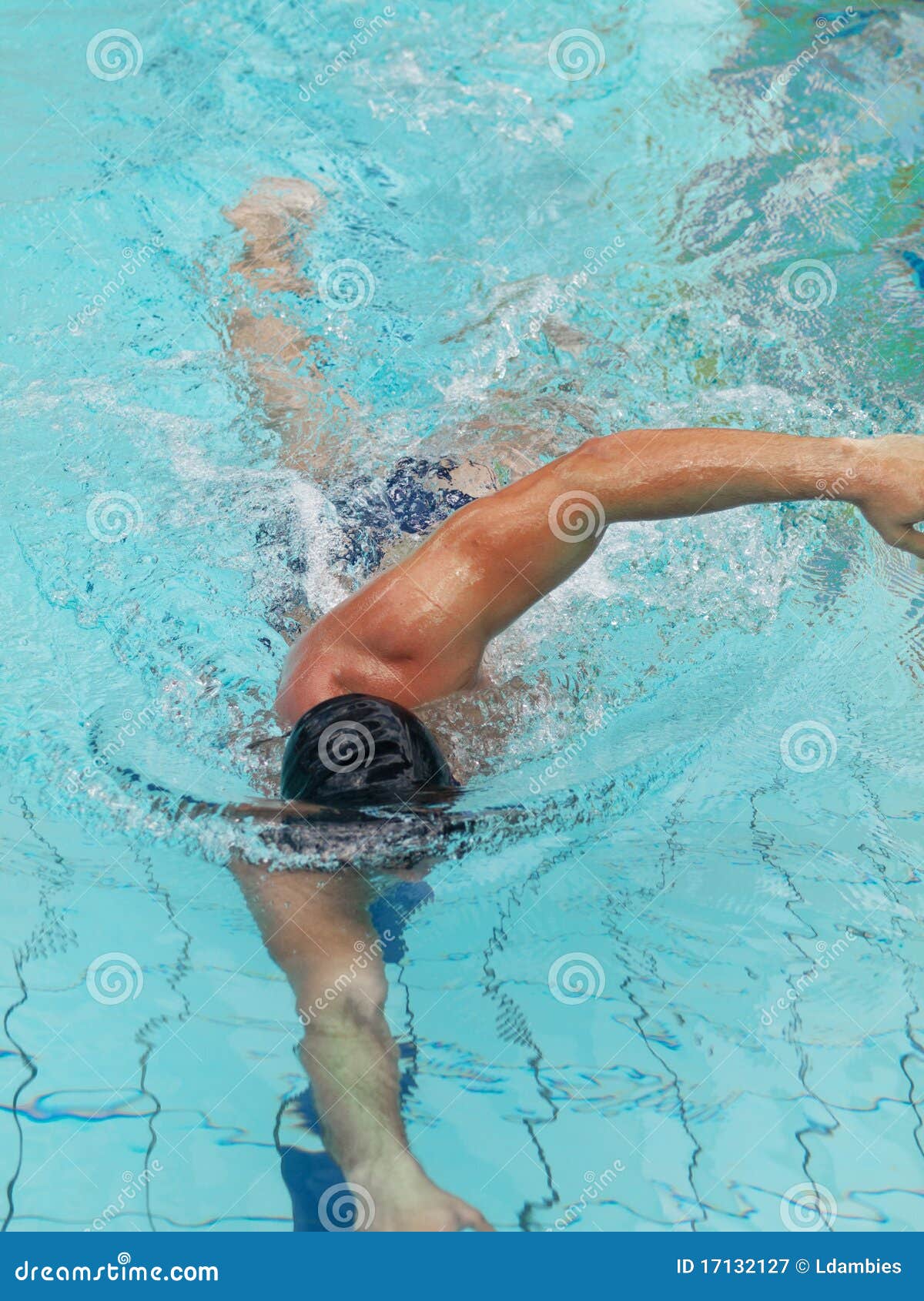 Male swimmer stock image. Image of male, muscle, leisure - 17132127