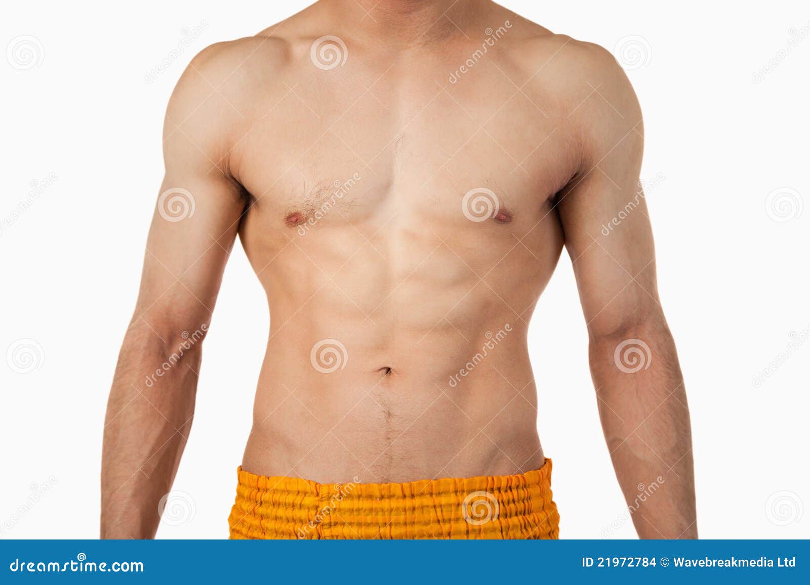 Male torso stock photo. Image of fitness, athletic, muscular - 21972784