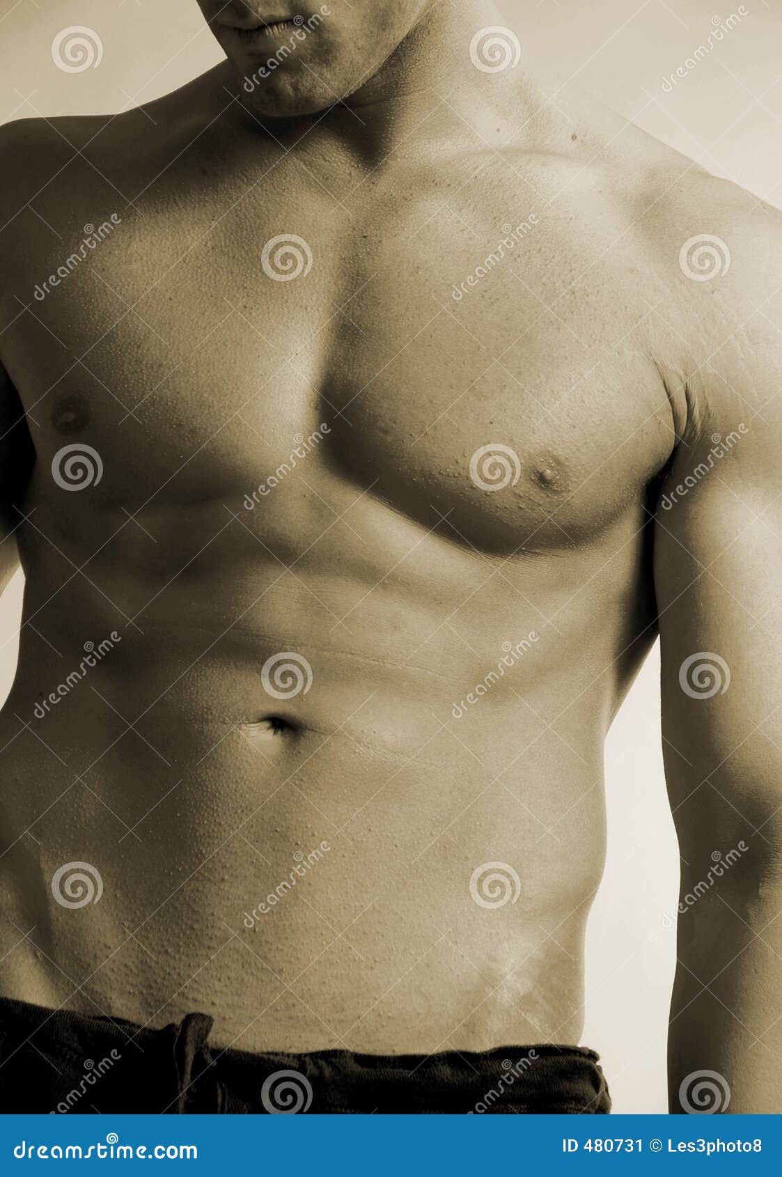 Male torso stock image. Image of sepia, dude, body, thin - 480731