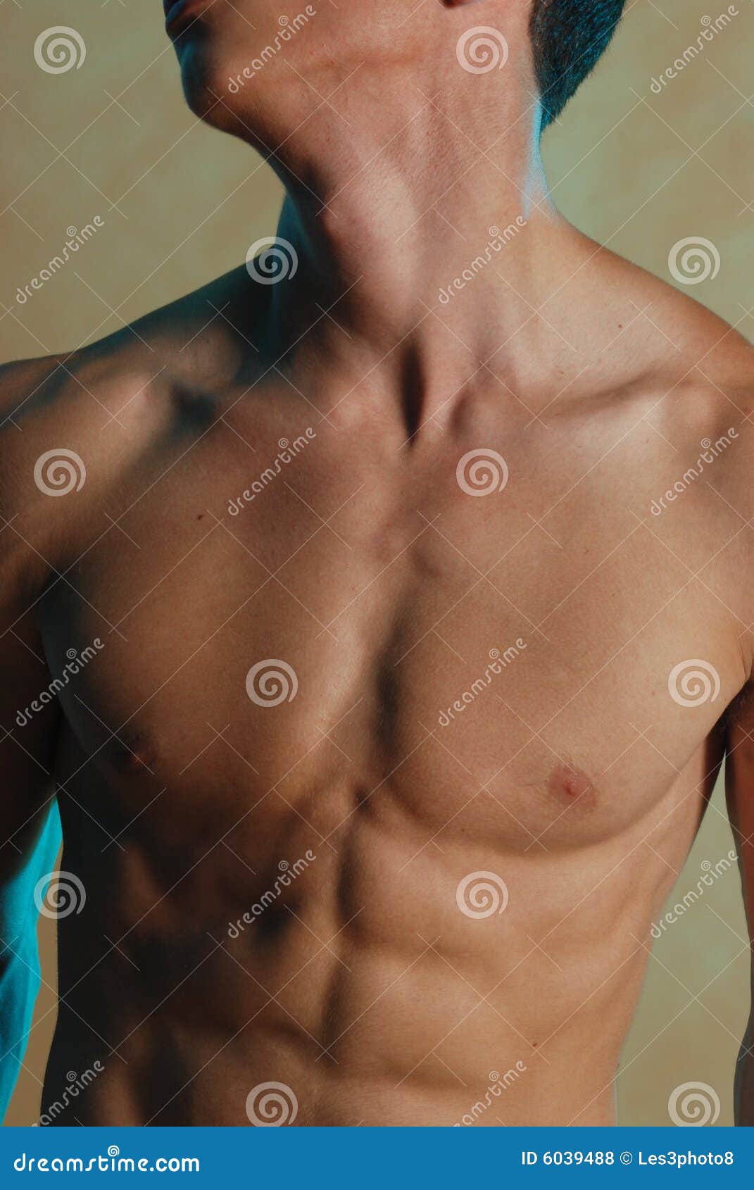 Male torso stock photo. Image of slim, bicep, lean, fitness - 6039488