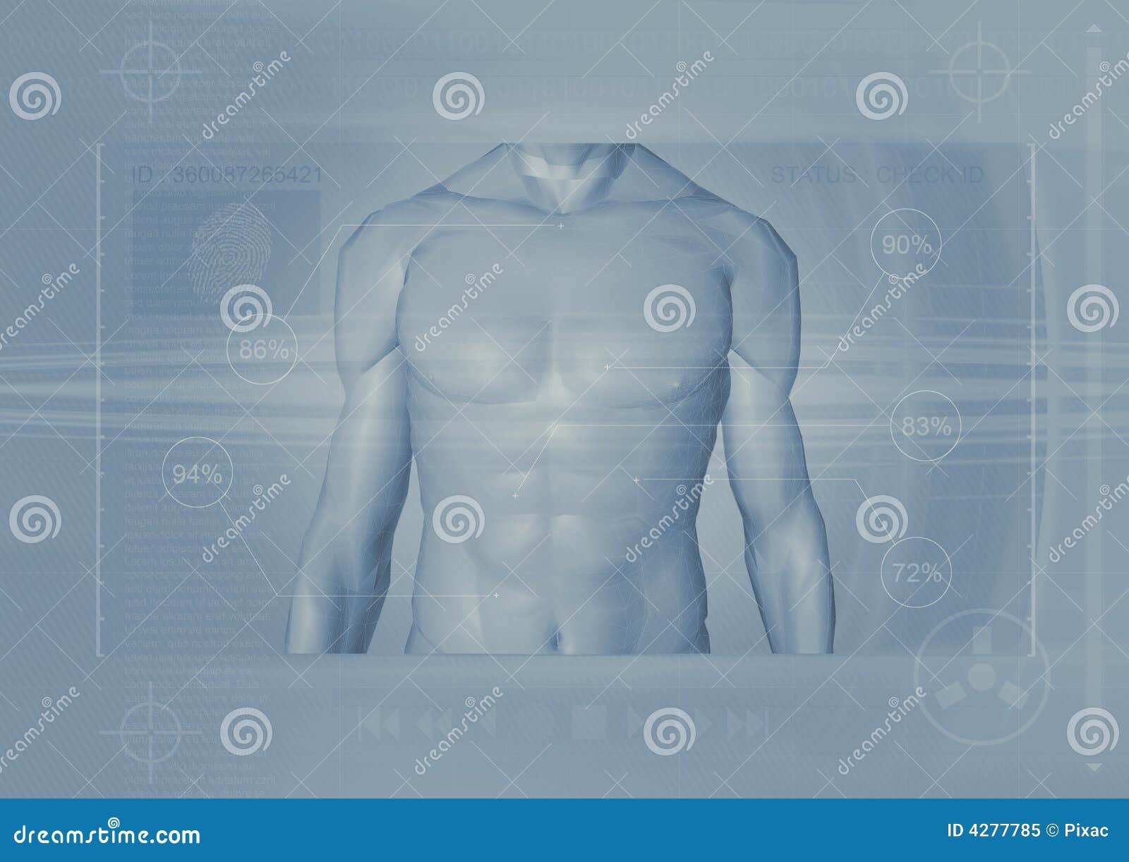 Male Torso With Sagging Belly And Soft Muscles Vector Set ...