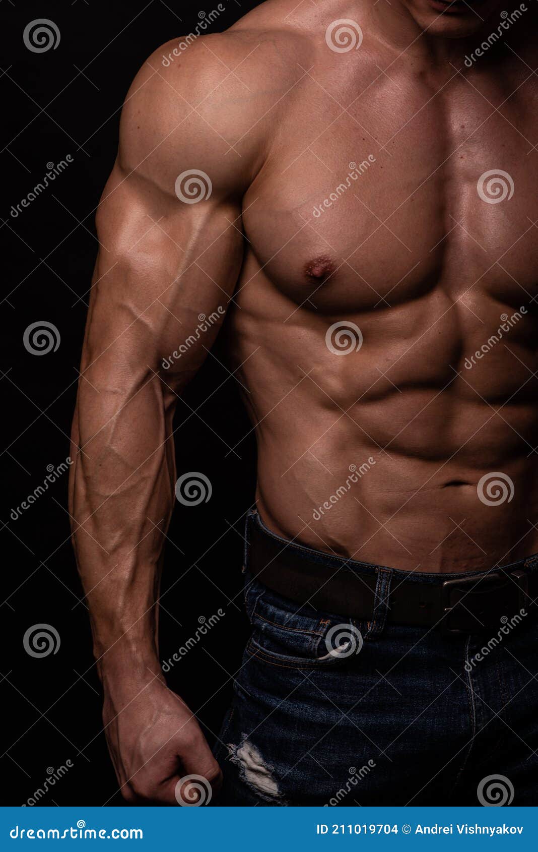 Male torso stock photo. Image of muscle, healthy, pack - 211019704