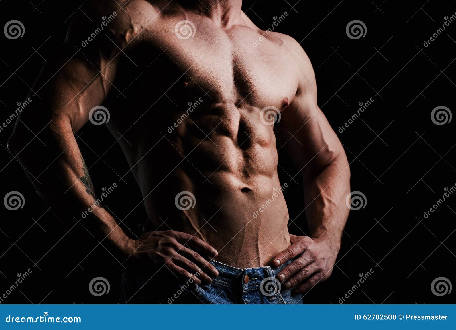Male torso stock photo. Image of sporty, navel, bodybuilder - 62782508