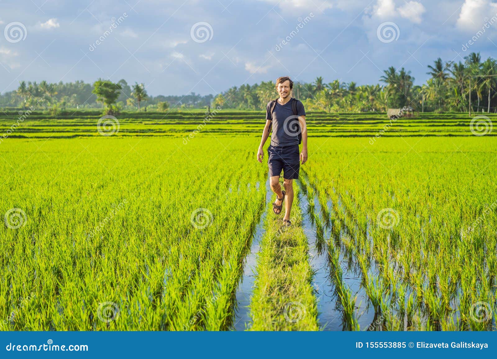 Male Tourist with a Backpack Goes on the Rice Field Stock Image - Image ...