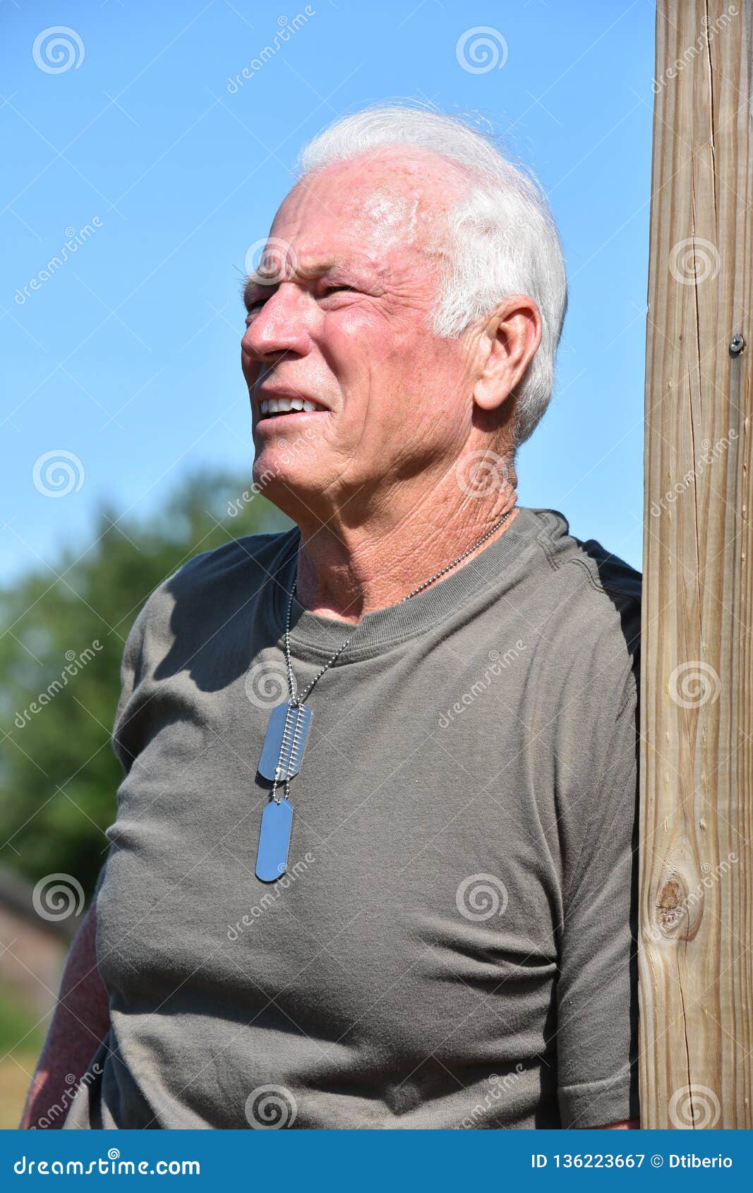 Male Veteran Portrait stock image. Image of soldiers - 136223667