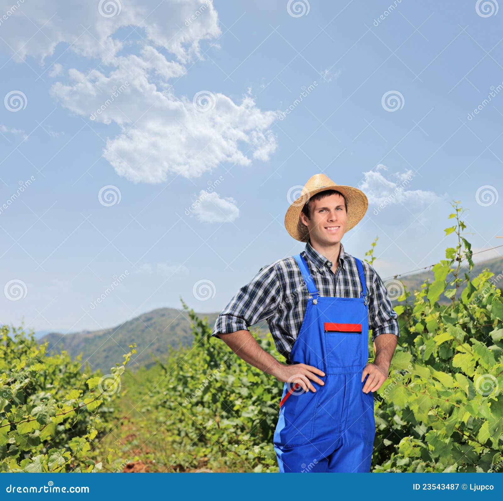 Male Vintner Posing at Vineyard Stock Image - Image of pose, fruit ...