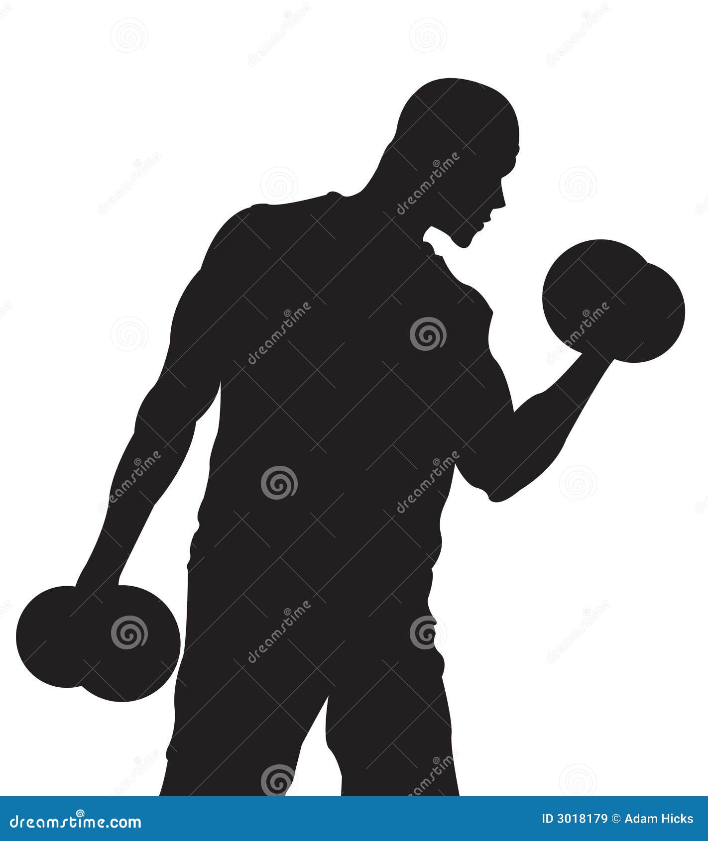 Male Weight Lifter stock vector. Illustration of exercise - 3018179
