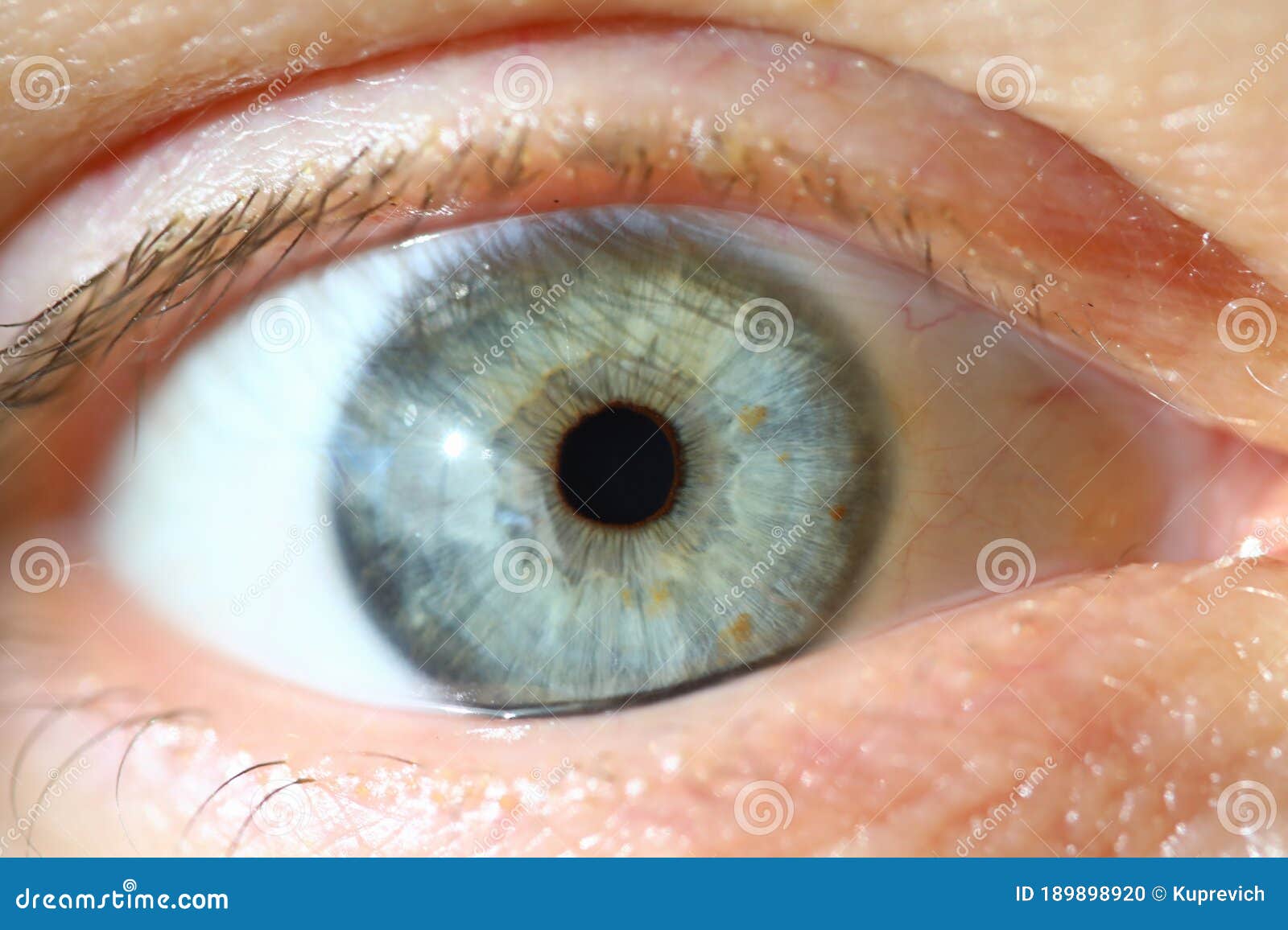 Male wide open eye stock photo. Image of observation - 189898920
