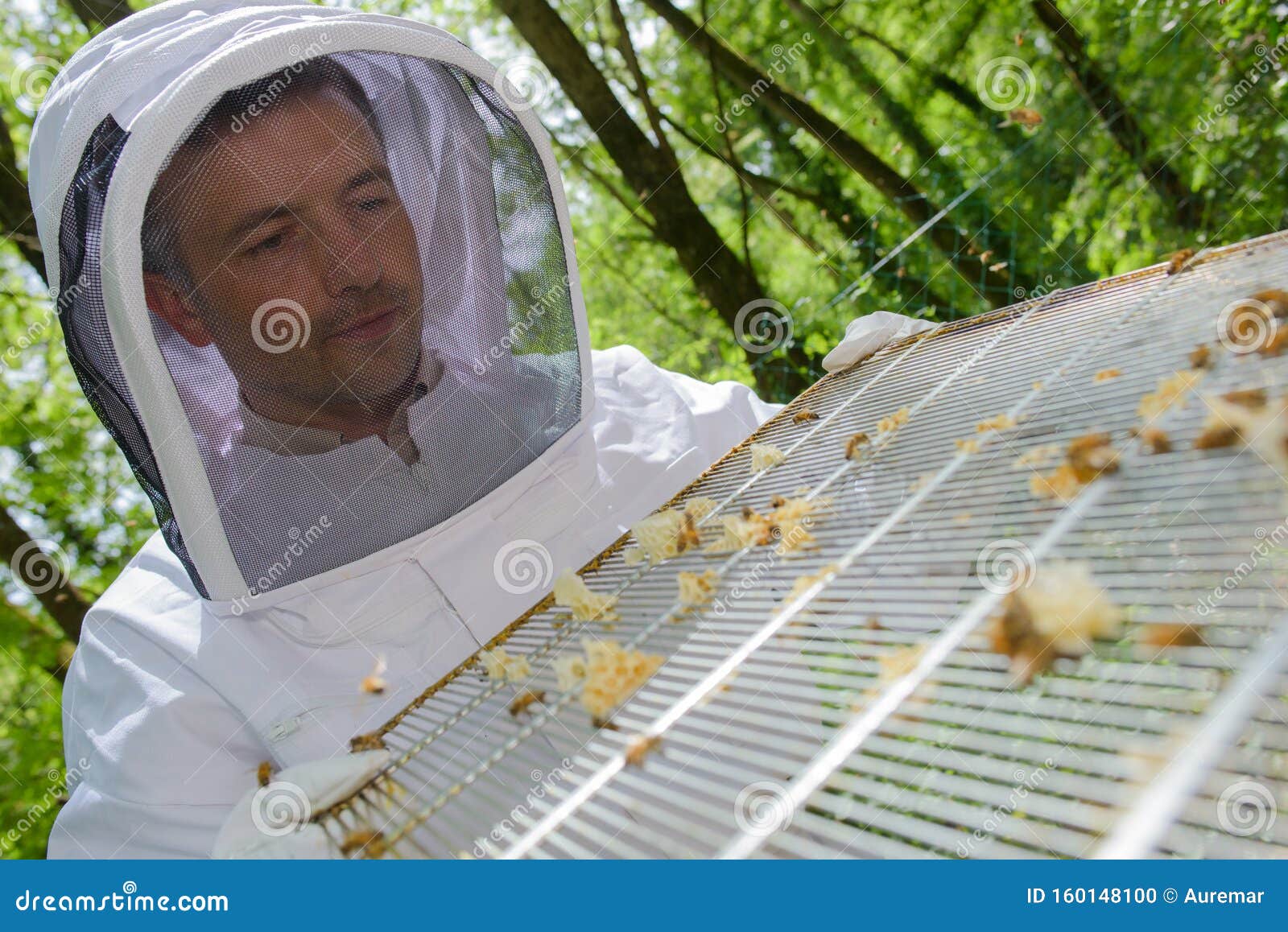 Male worker apiculturist stock photo. Image of clothing - 160148100