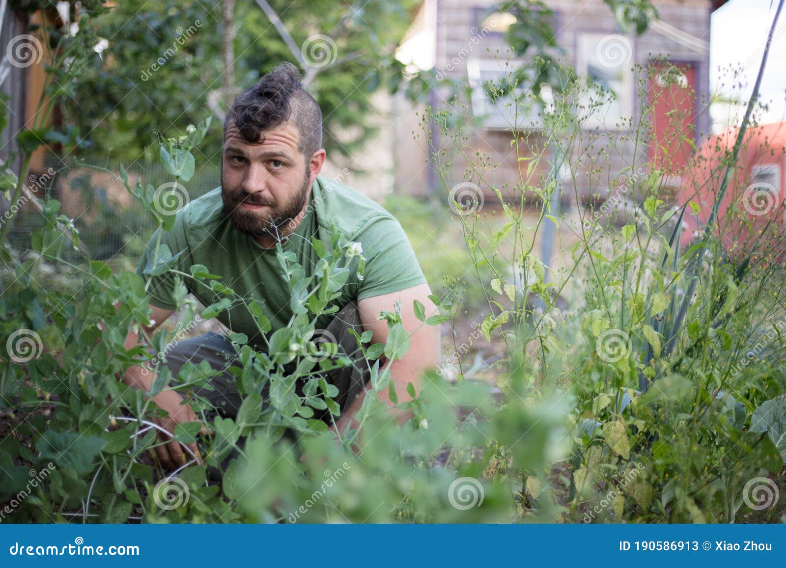 Male worker stock image. Image of forest, outdoors, people - 190586913