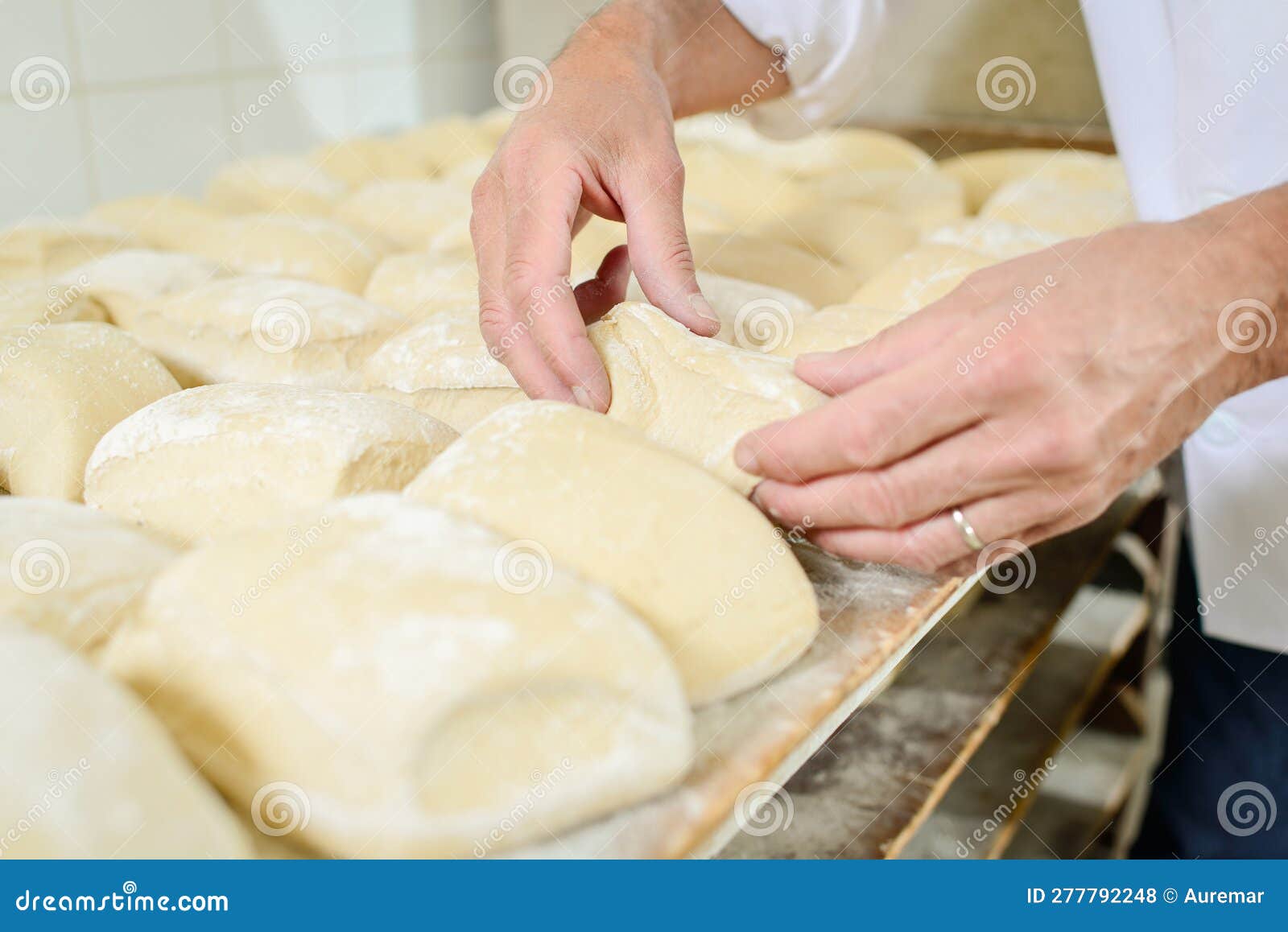 Male worker moulding dough stock photo. Image of bread - 277792248