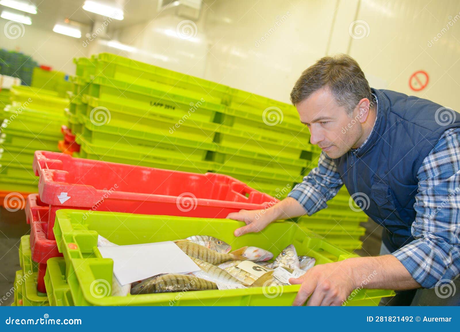 Male Worker Workin with Fresh Seafood Stock Photo - Image of catch ...