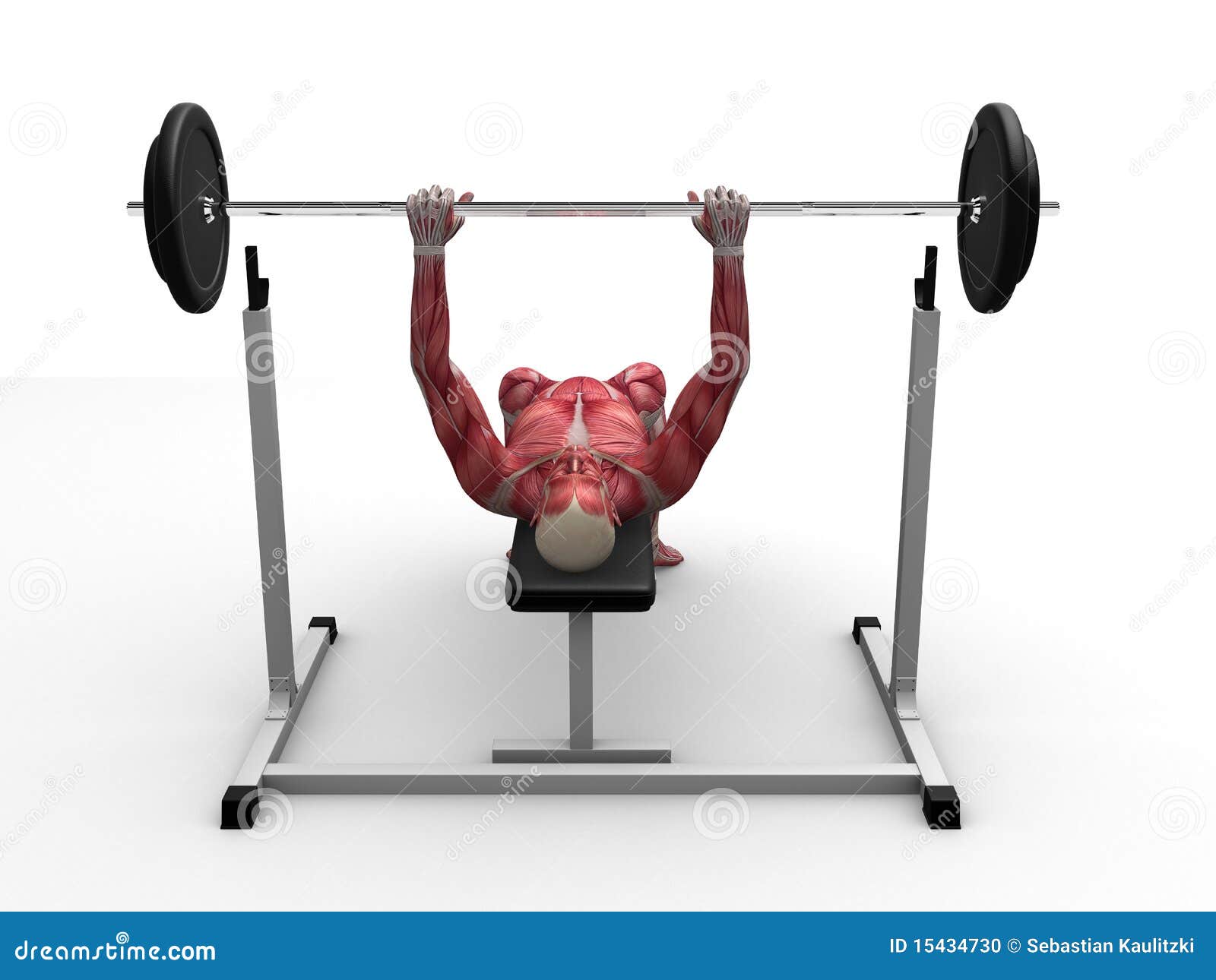 Male workout - bench press stock illustration. Illustration of ...