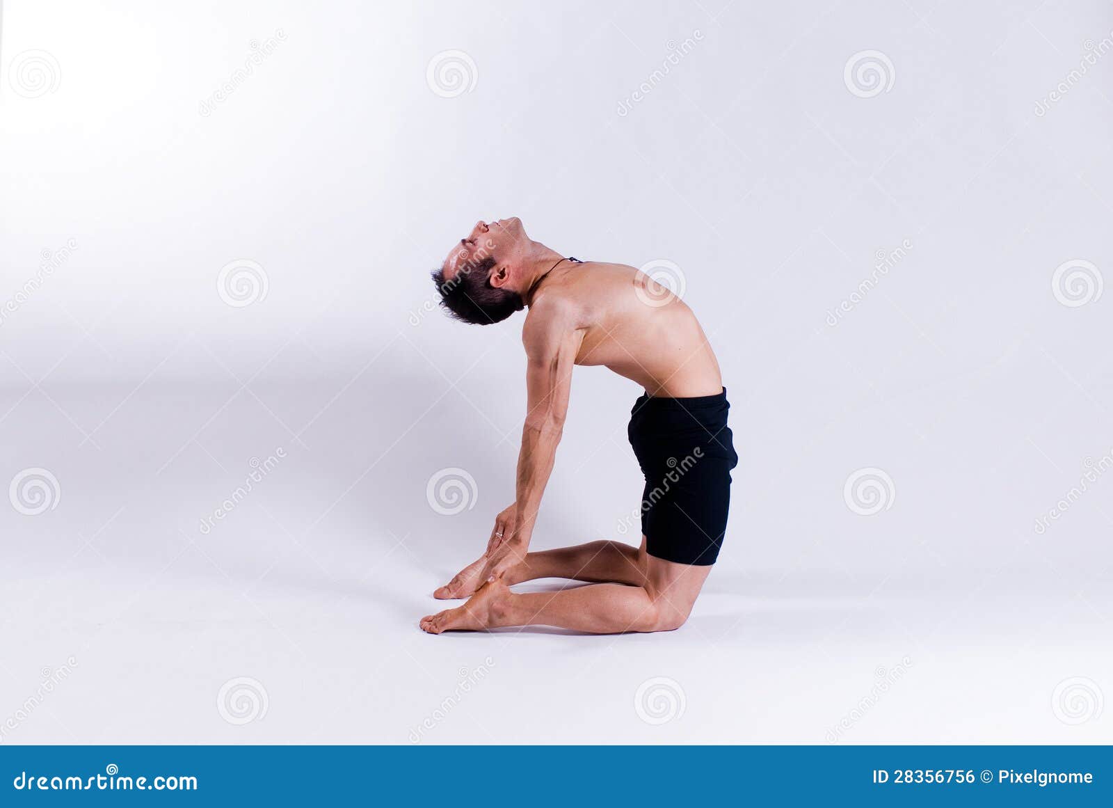 Male yoga model stock photo. Image of isolated, namaste - 28356756