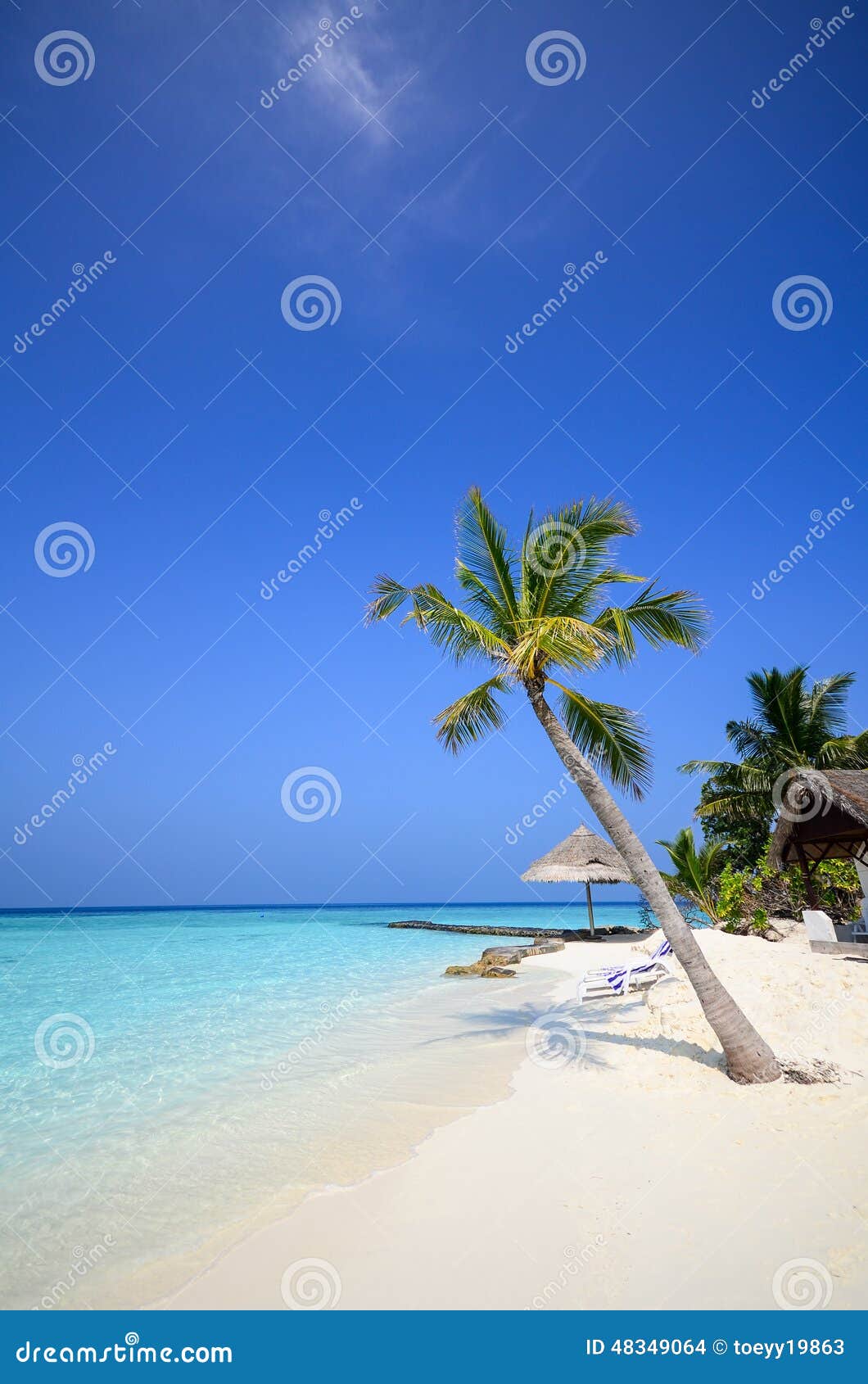 Malediven-Strand stockfoto. Bild von grün, leuchte, palme - 48349064