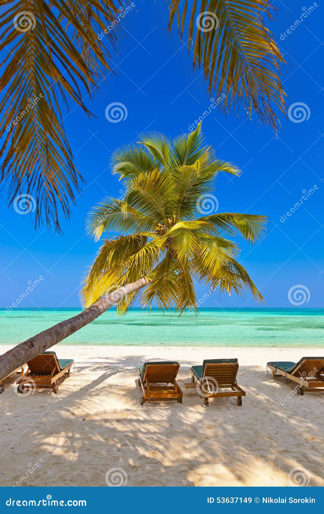 Malediven-Strand stockbild. Bild von stuhl, landschaft - 53637149