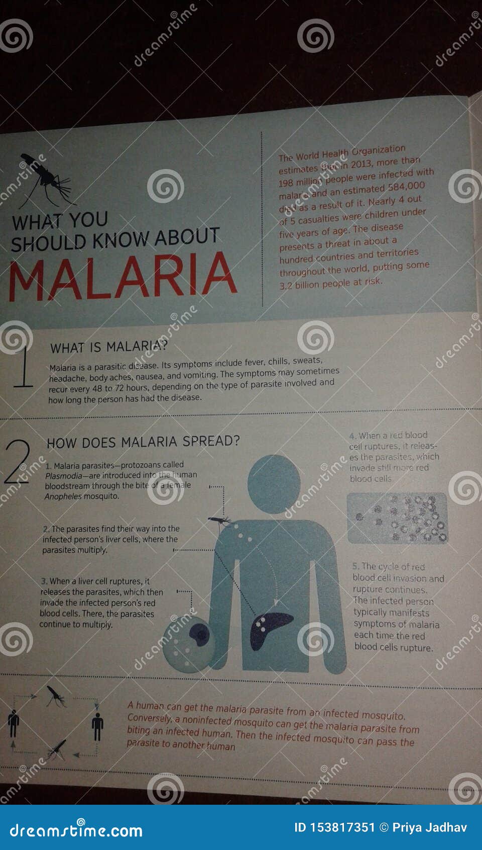 Maleria editorial photo. Image of fever, bite, maleria - 153817351