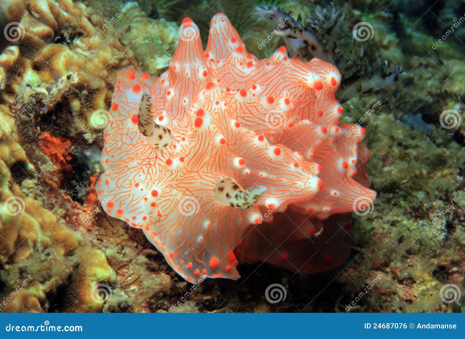 Malesso Photos - Free & Royalty-Free Stock Photos from Dreamstime