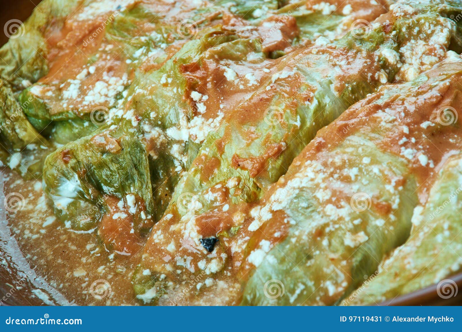 Malfouf stock image. Image of oriental, cabbage, homemade - 97119431