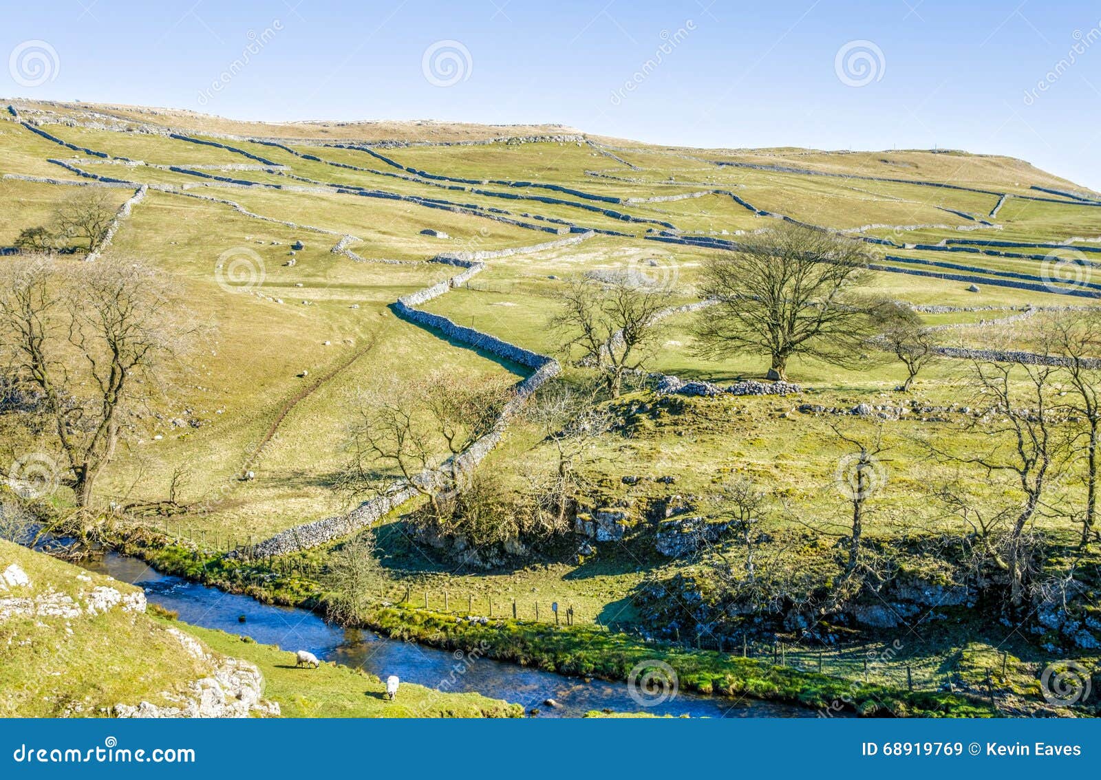 Malham Beck Surrounded by Fields Stock Image - Image of malham, sheep ...