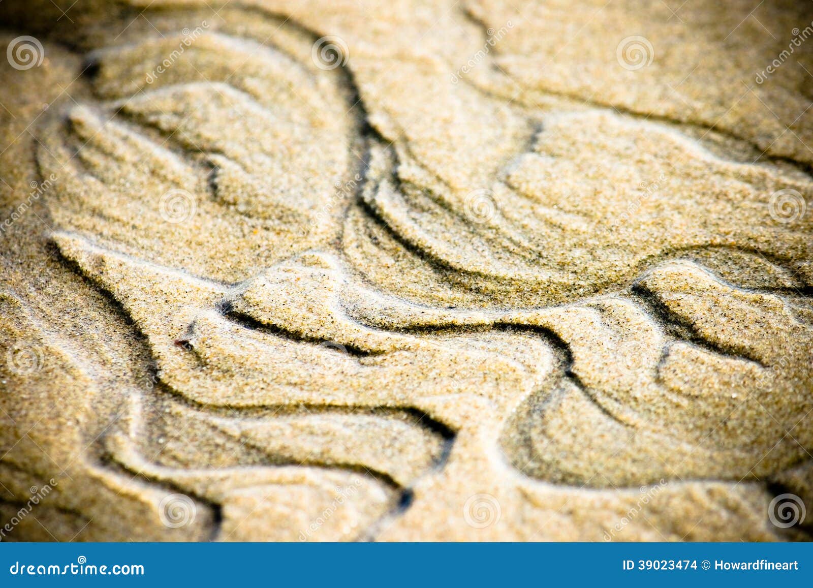 Malibu Sand stock photo. Image of closeup, landscape - 39023474