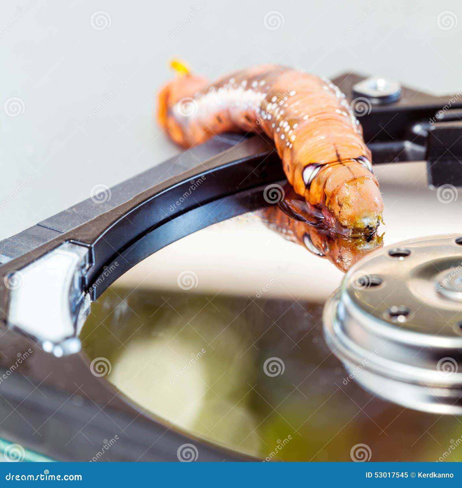 Malicious computer worm . stock image. Image of internet - 53017545