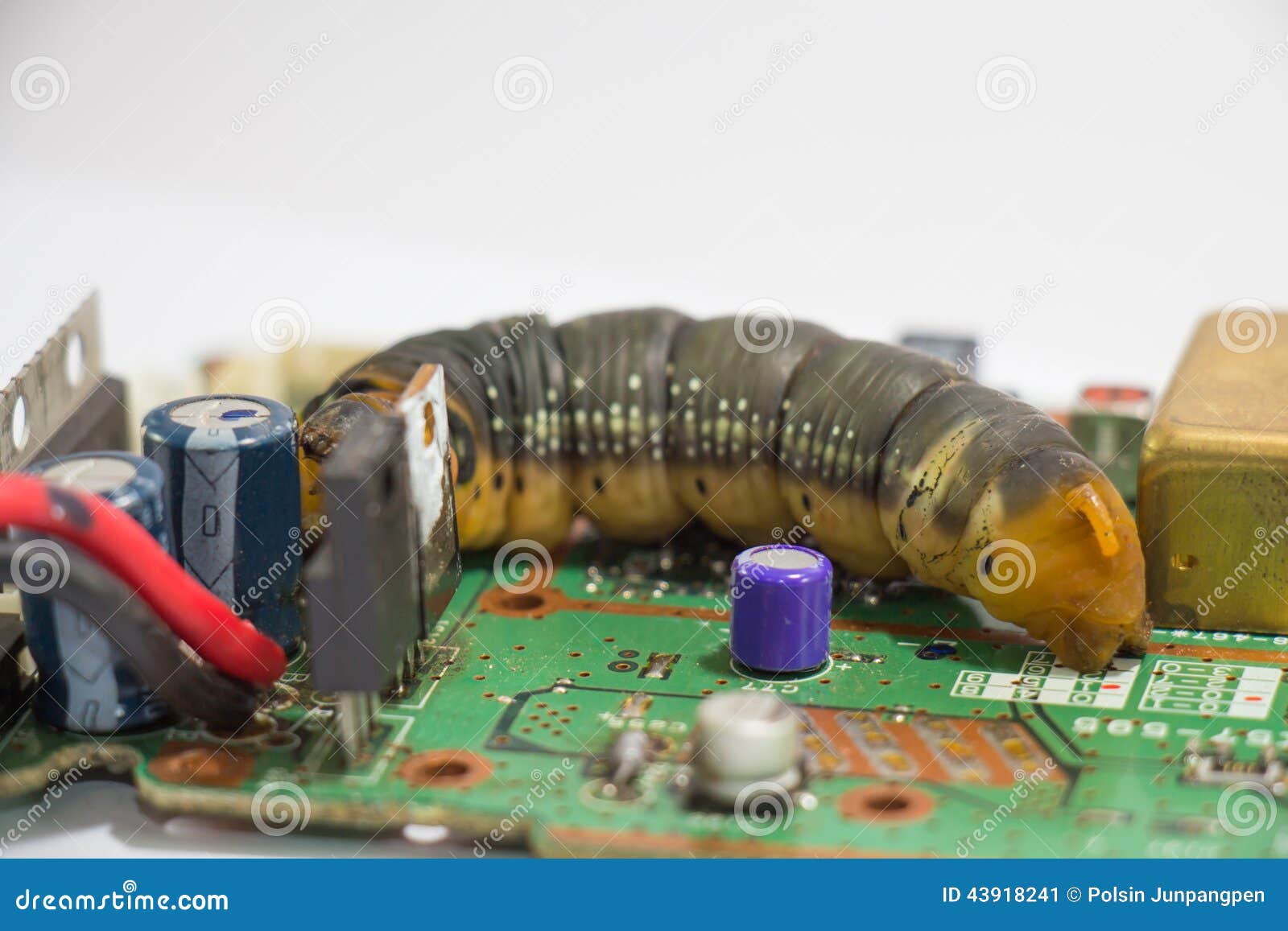 Malicious computer worm stock image. Image of caterpillar - 43918241