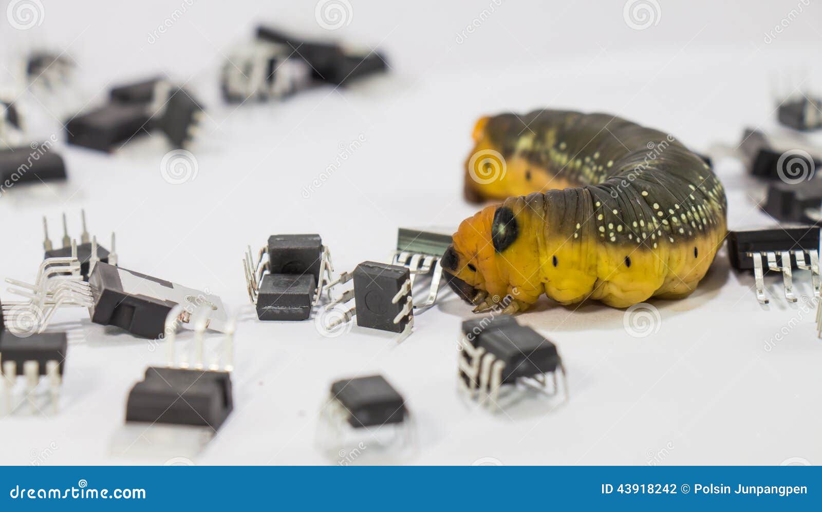 Malicious computer worm stock photo. Image of caterpillar - 43918242