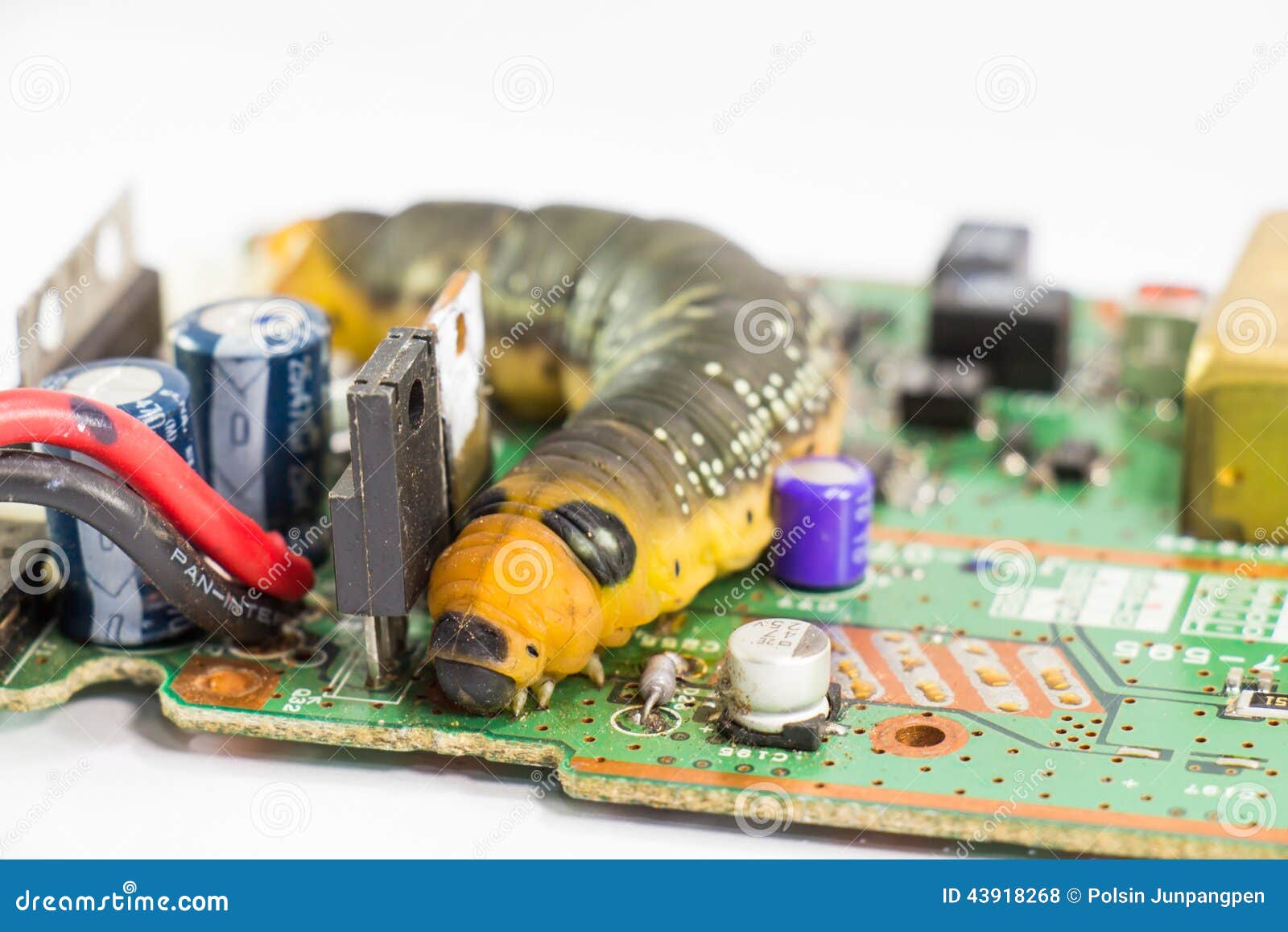 Malicious computer worm stock photo. Image of details - 43918268