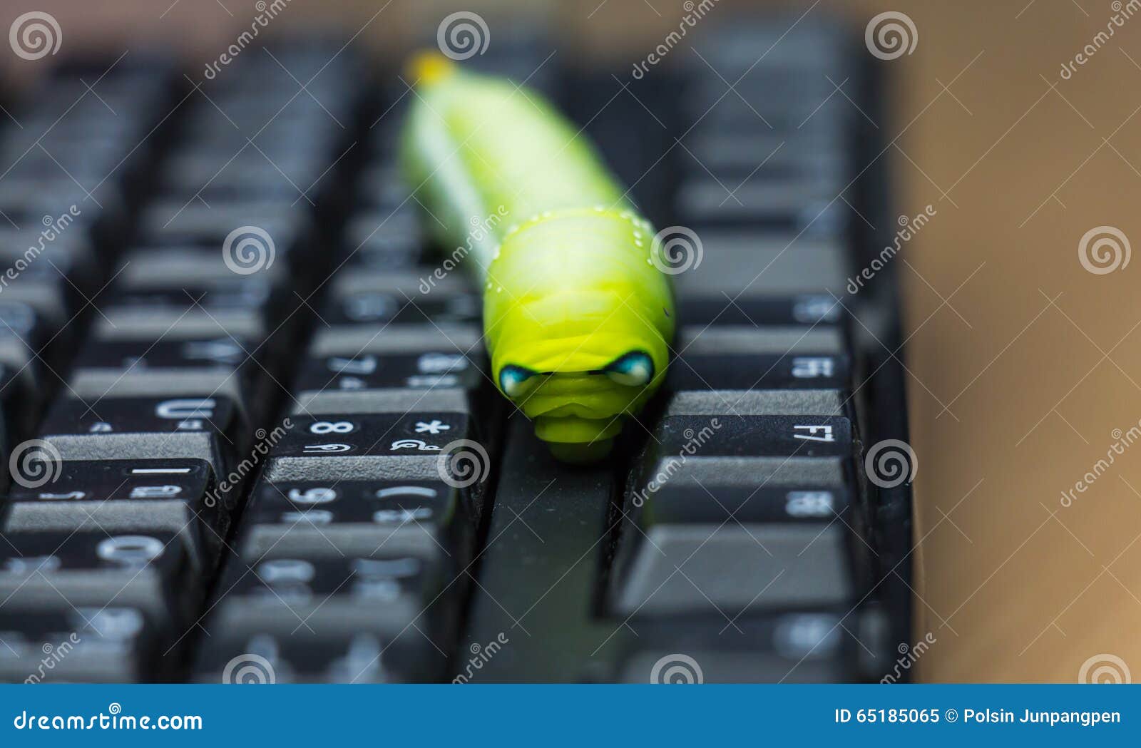 Malicious computer worm. stock image. Image of modern - 65185065