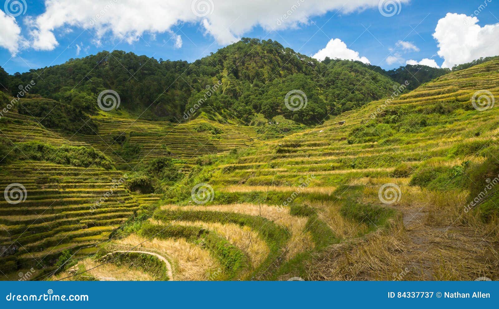 Maligcong Rice Terraces View from Trail Stock Image - Image of luzon ...