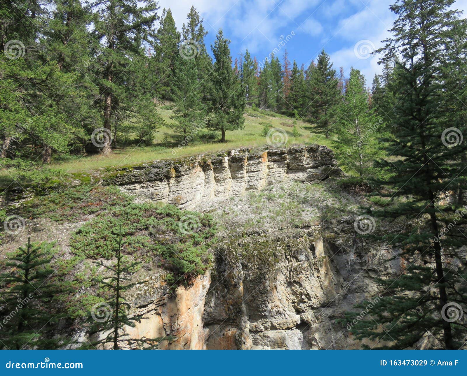 Maligne Canyon, View of the Structure of Limestone and Conifers Stock ...