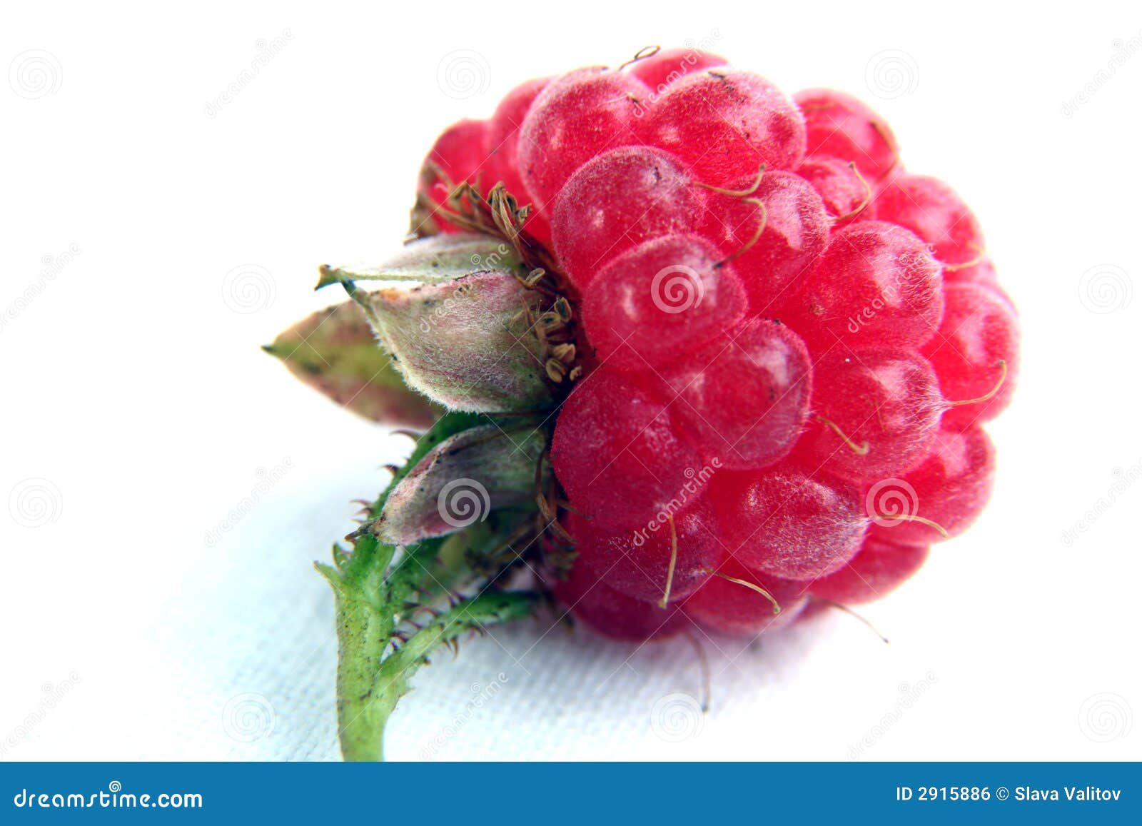 Malina zdjęcie stock. Obraz złożonej z dietetyczka, kuchnia - 2915886