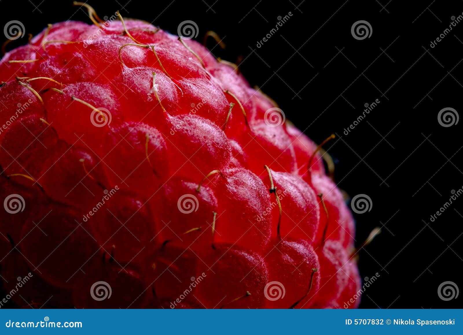 Malina zdjęcie stock. Obraz złożonej z ampuła, malinki - 5707832