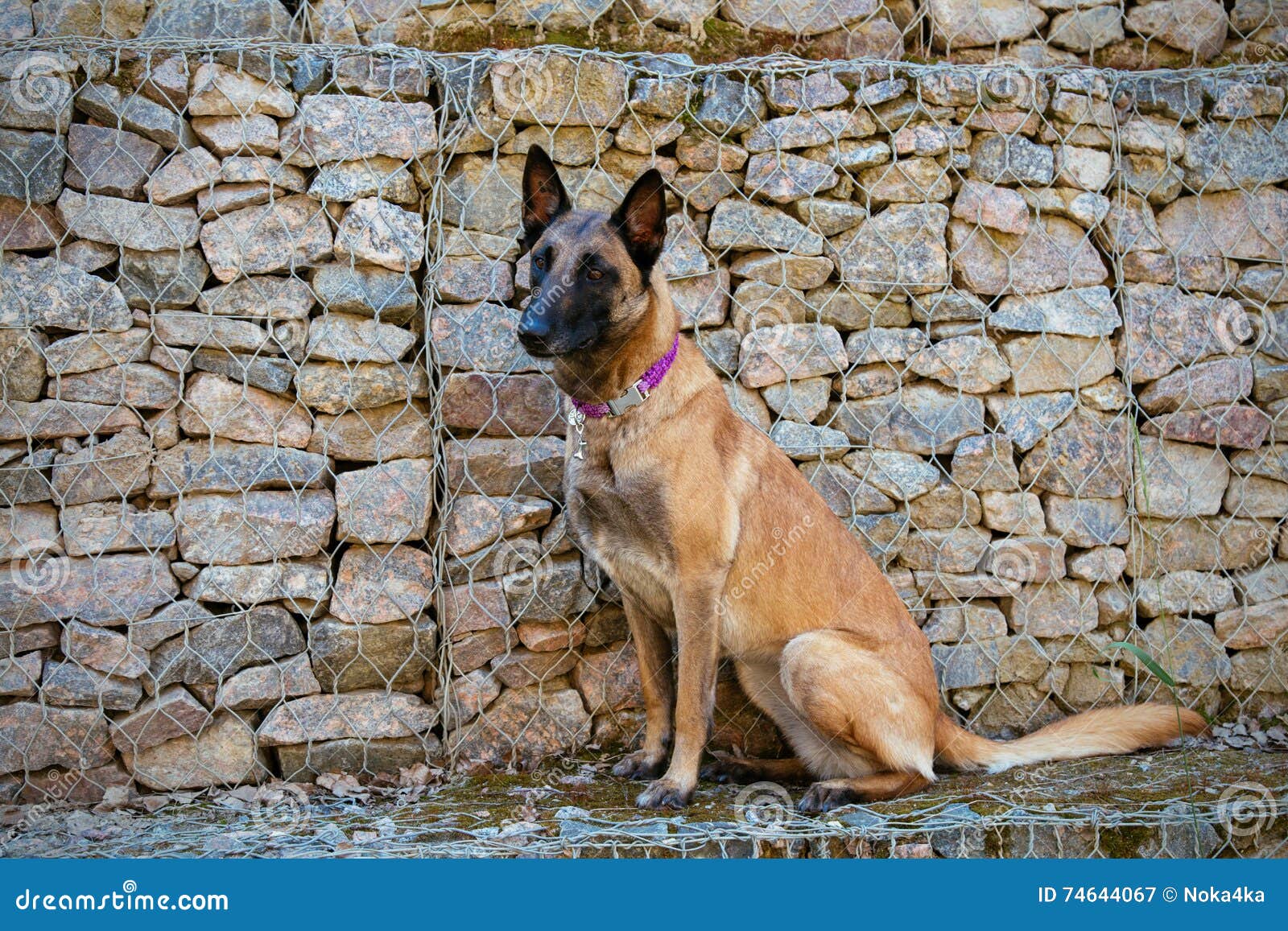 Royalty Free Images, Cartoons, Illustrations And Photos Designed By ...