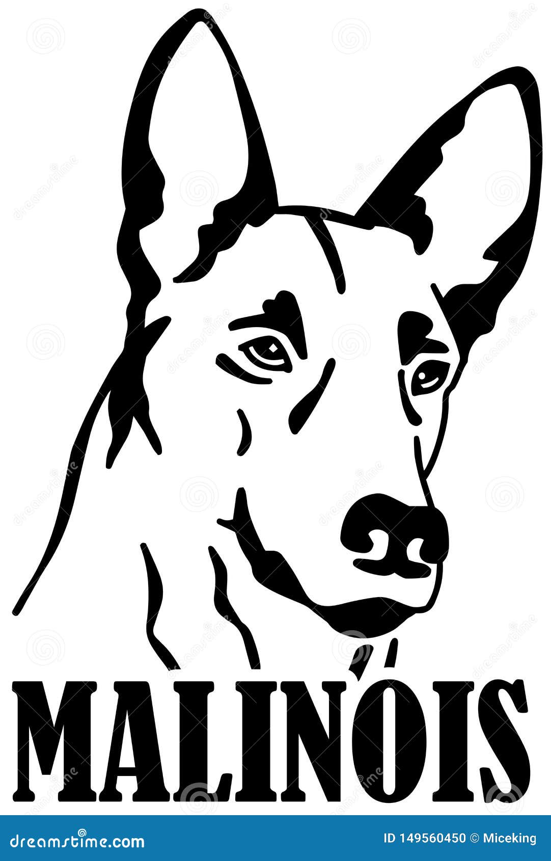 Malinois head with name stock illustration. Illustration of isolated ...