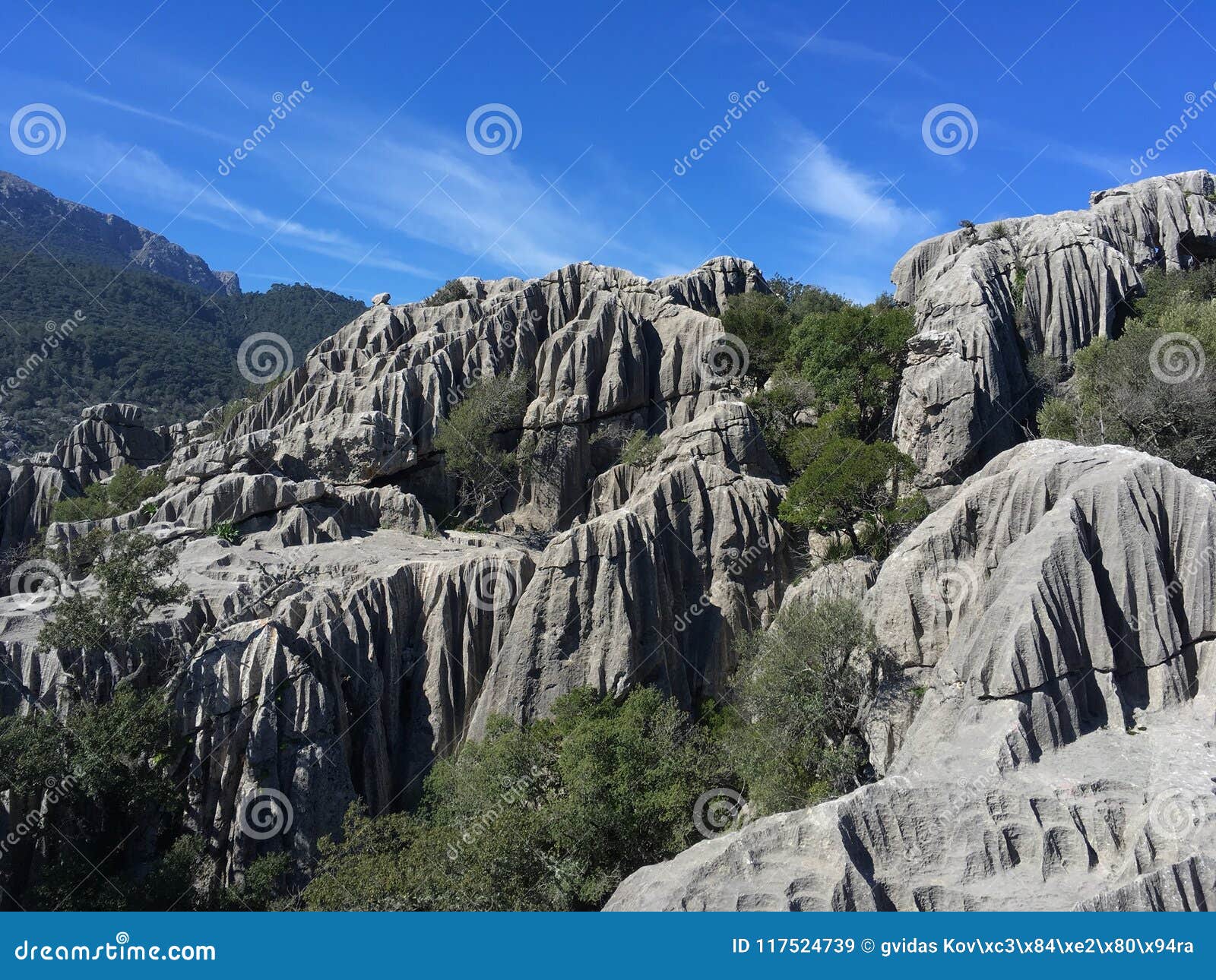 Maljorka imagen de archivo. Imagen de cubo, bellezas - 117524739