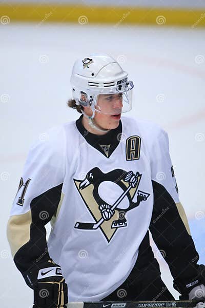 Malkin editorial photography. Image of league, alternate - 7361662