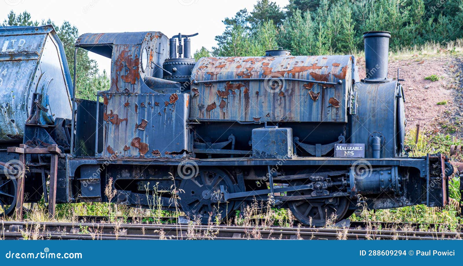 Saddle Tank Royalty-Free Stock Photo | CartoonDealer.com #81773577