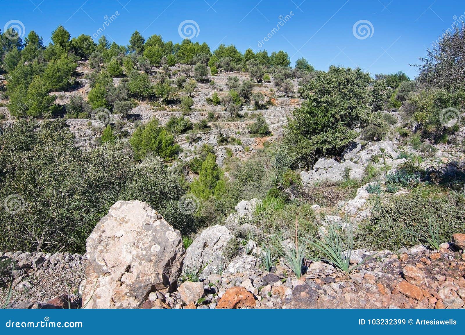 Mallorca landscape October stock image. Image of sunlight - 103232399