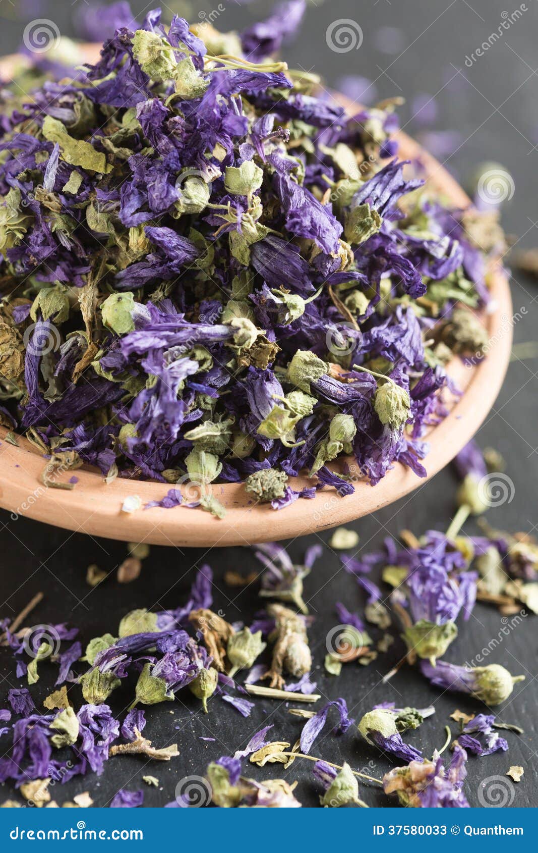 Mallow dried flower stock image. Image of dried, heap - 37580033