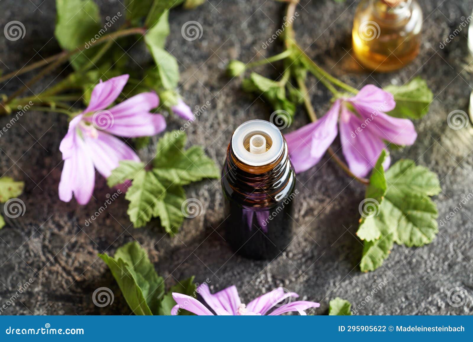 Mallow Essential Oil in a Brown Bottle Stock Photo - Image of herb ...