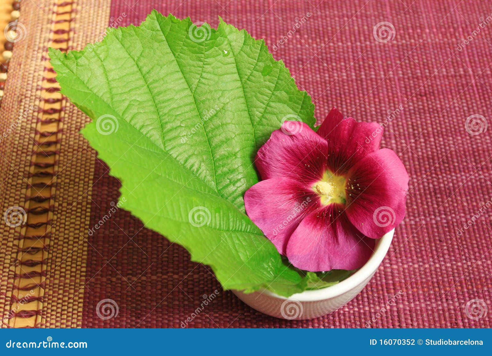 Mallow and leaf in spa stock photo. Image of flower, bowl - 16070352