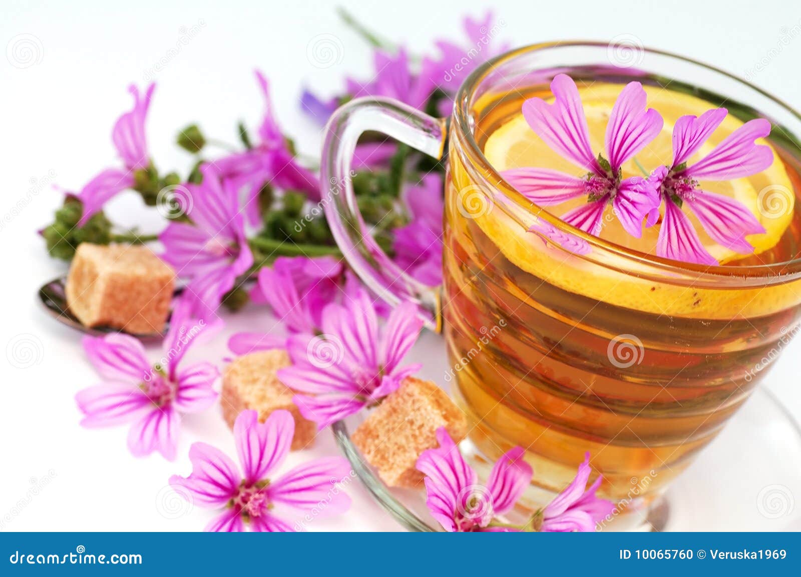 Mallow tea stock photo. Image of glass, breakfast, leaves - 10065760