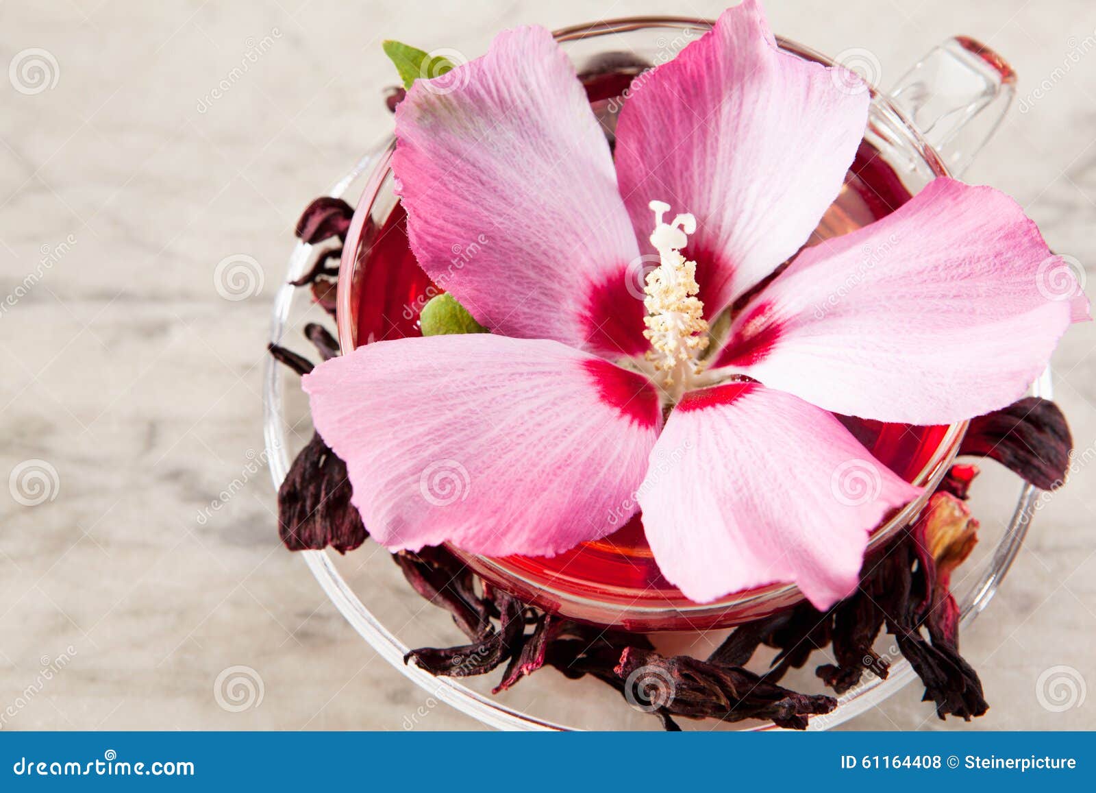 Mallow tea stock photo. Image of fresh, beverage, oriental - 61164408