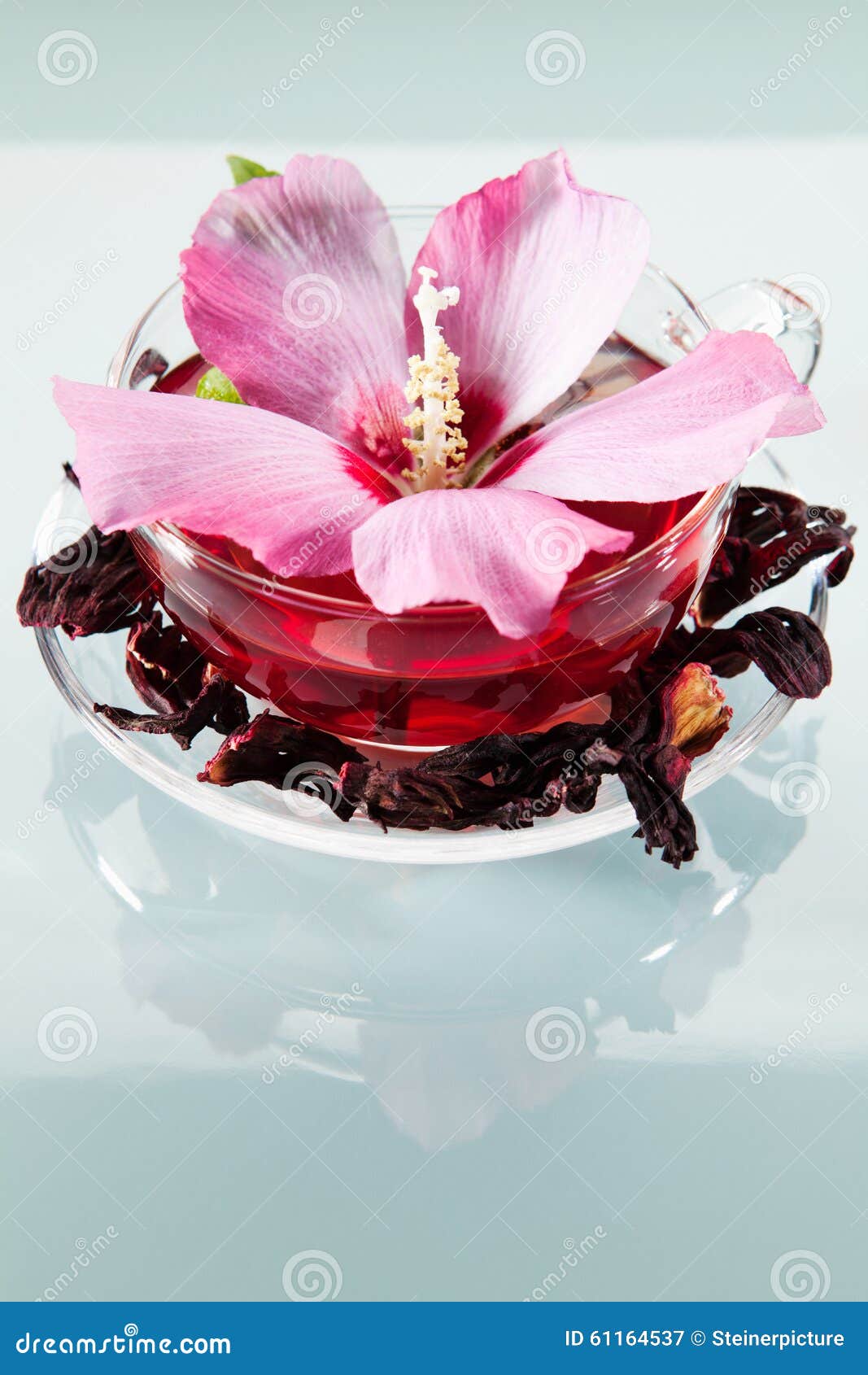 Mallow tea stock image. Image of plant, mallow, vintage - 61164537