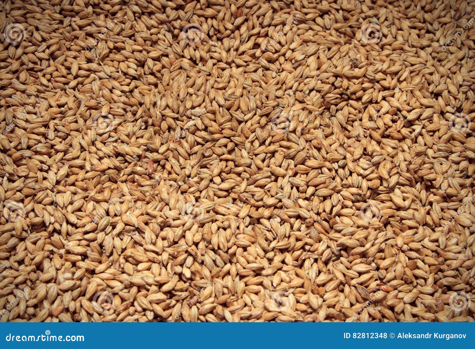 Malt Background Stock Photography | CartoonDealer.com #23368508