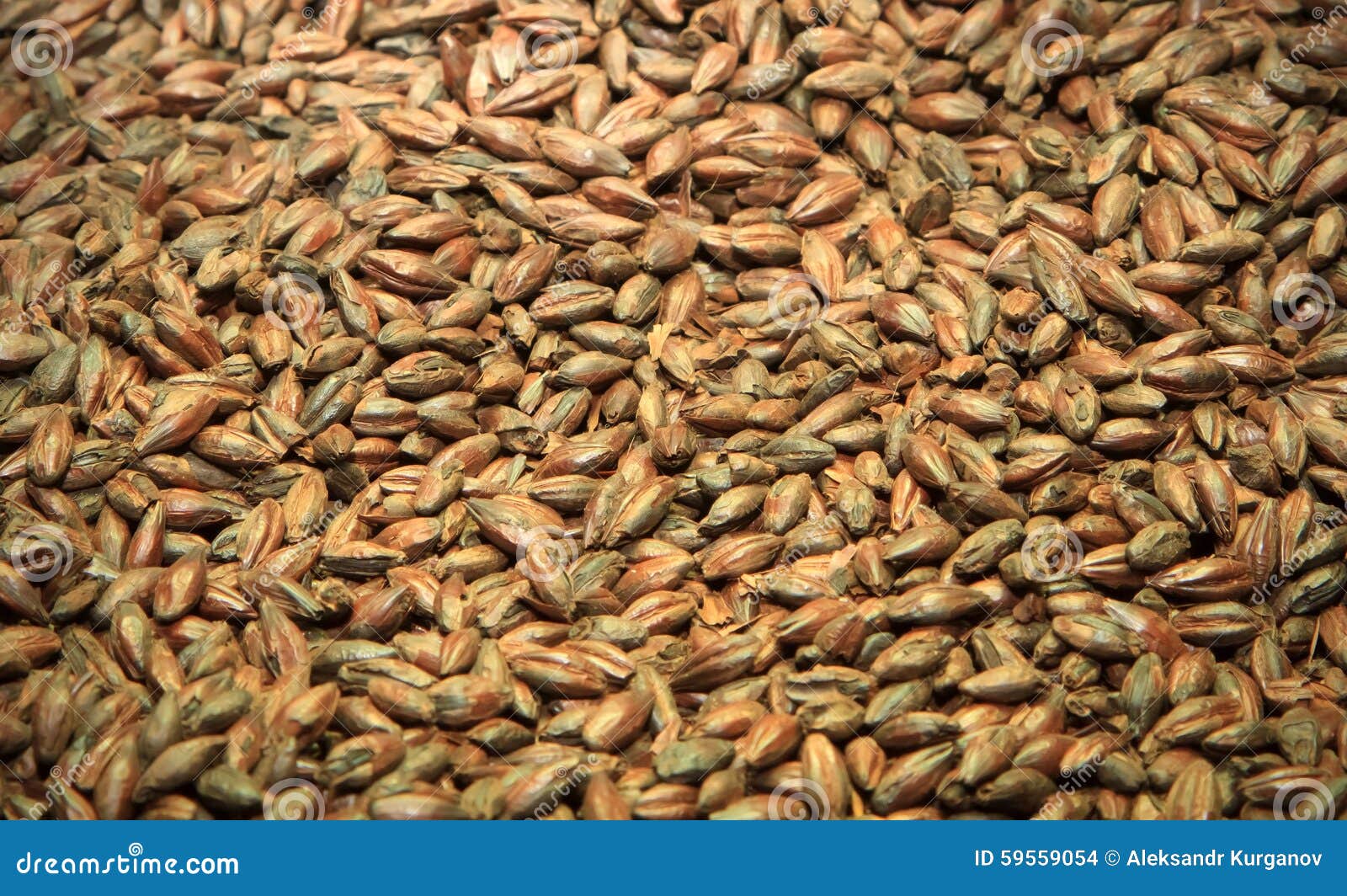 Malt Background Stock Photography | CartoonDealer.com #23368508